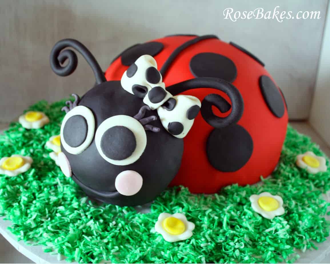 Ladybug Party: Cake, Cookies, Cake Pops & Smash Cake