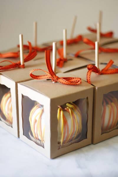 The Best Candy Apple Bags, Candy Apple Boxes, & Packaging