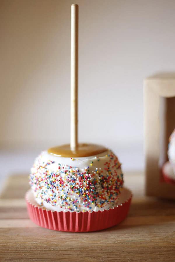 The Best Candy Apple Bags, Candy Apple Boxes, & Packaging