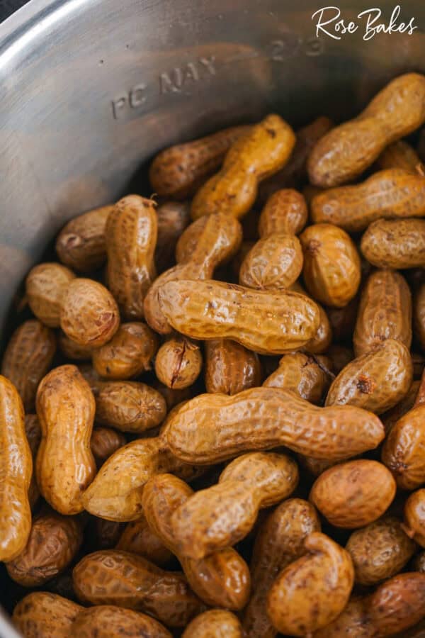 Instant Pot Boiled Peanuts (All Your Questions Answered!)