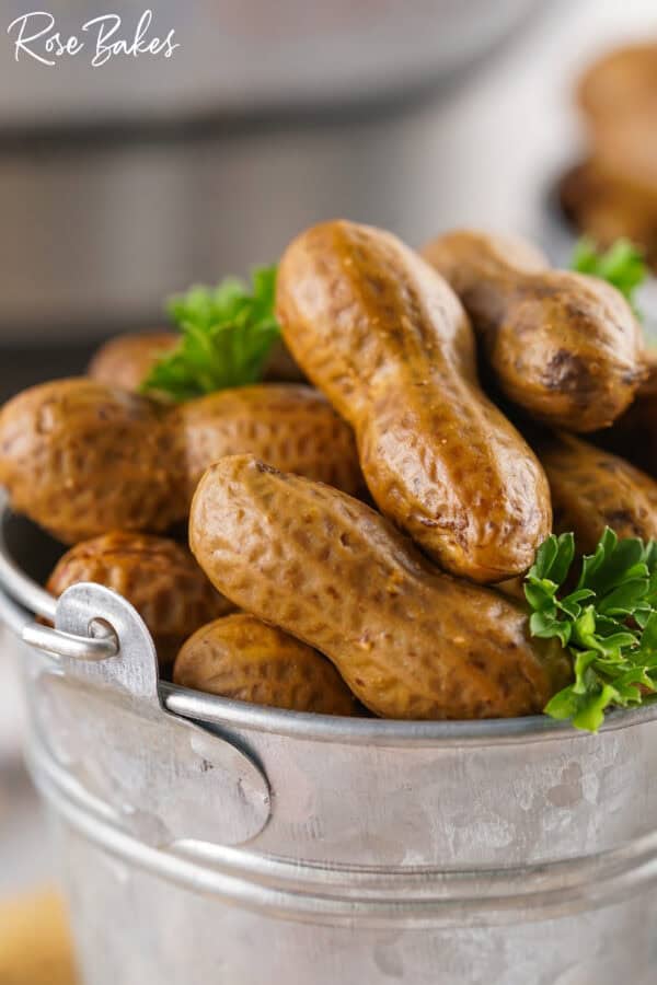 Instant Pot Boiled Peanuts (All Your Questions Answered!)