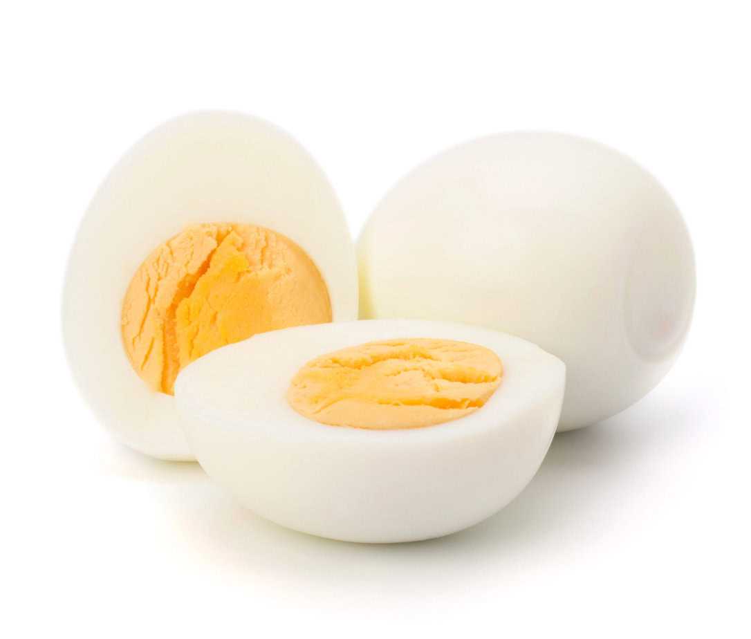 Tiktok Viral Egg Flight Ideas